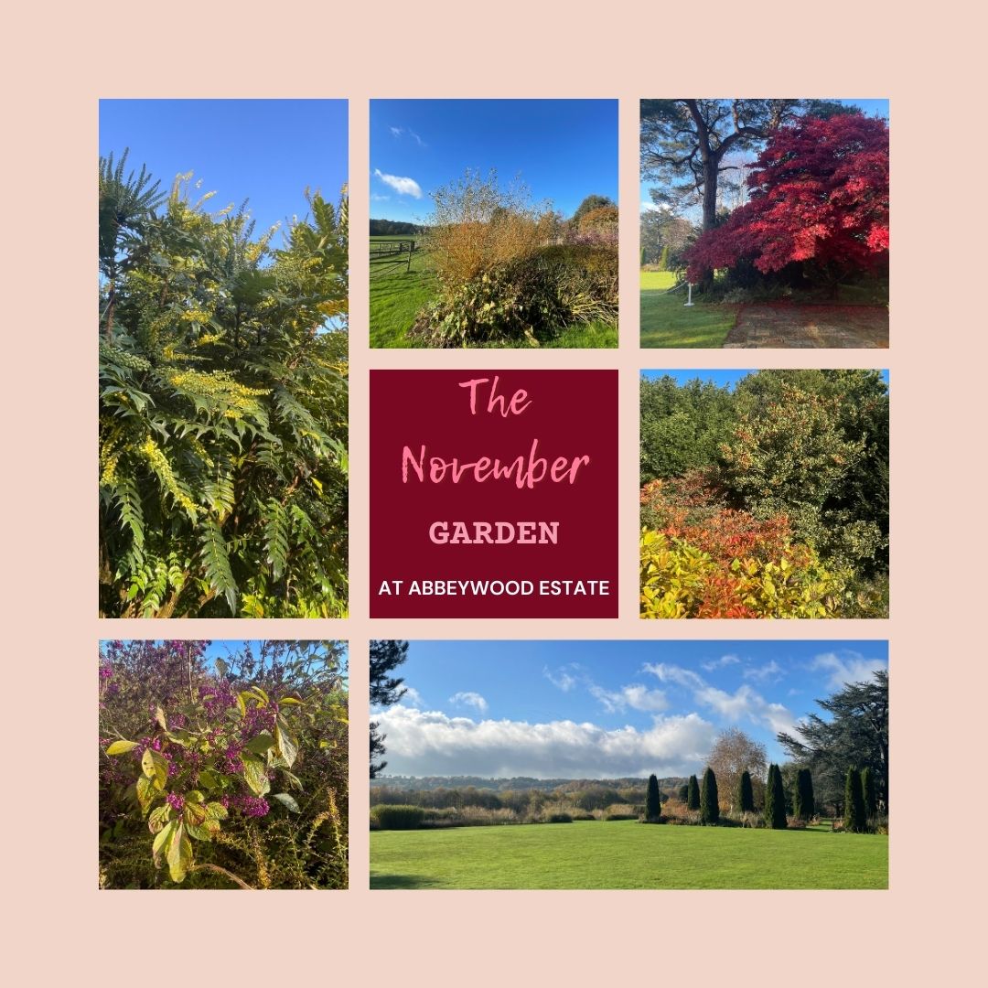 The November Garden at Abbeywood - Abbeywood Estate & Gardens